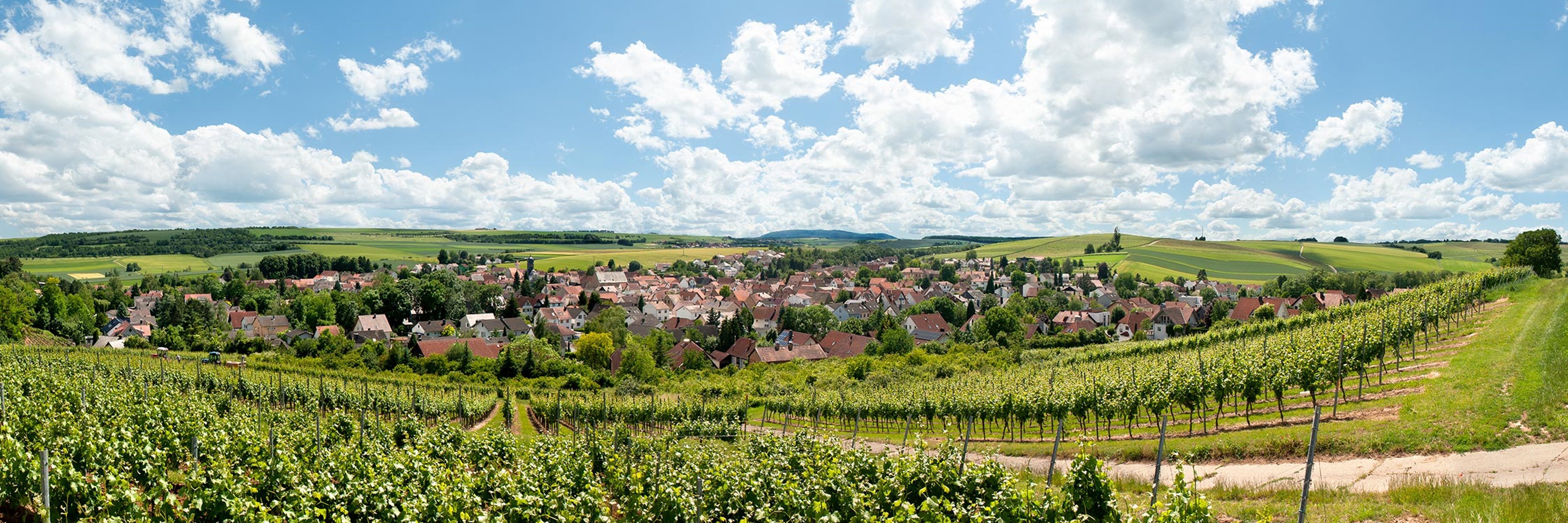 Weinheim | Stadt Alzey